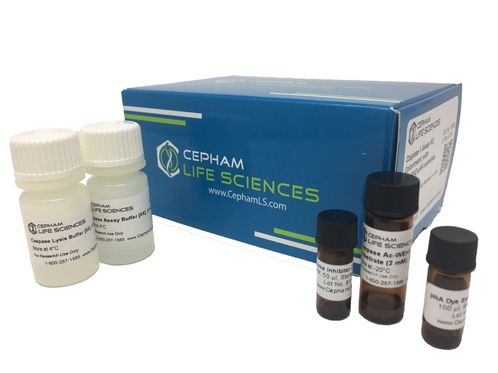 Caspase-1 Assay Kit, Colorimetric with Ac-WEHD-pNA substrate – Cepham ...