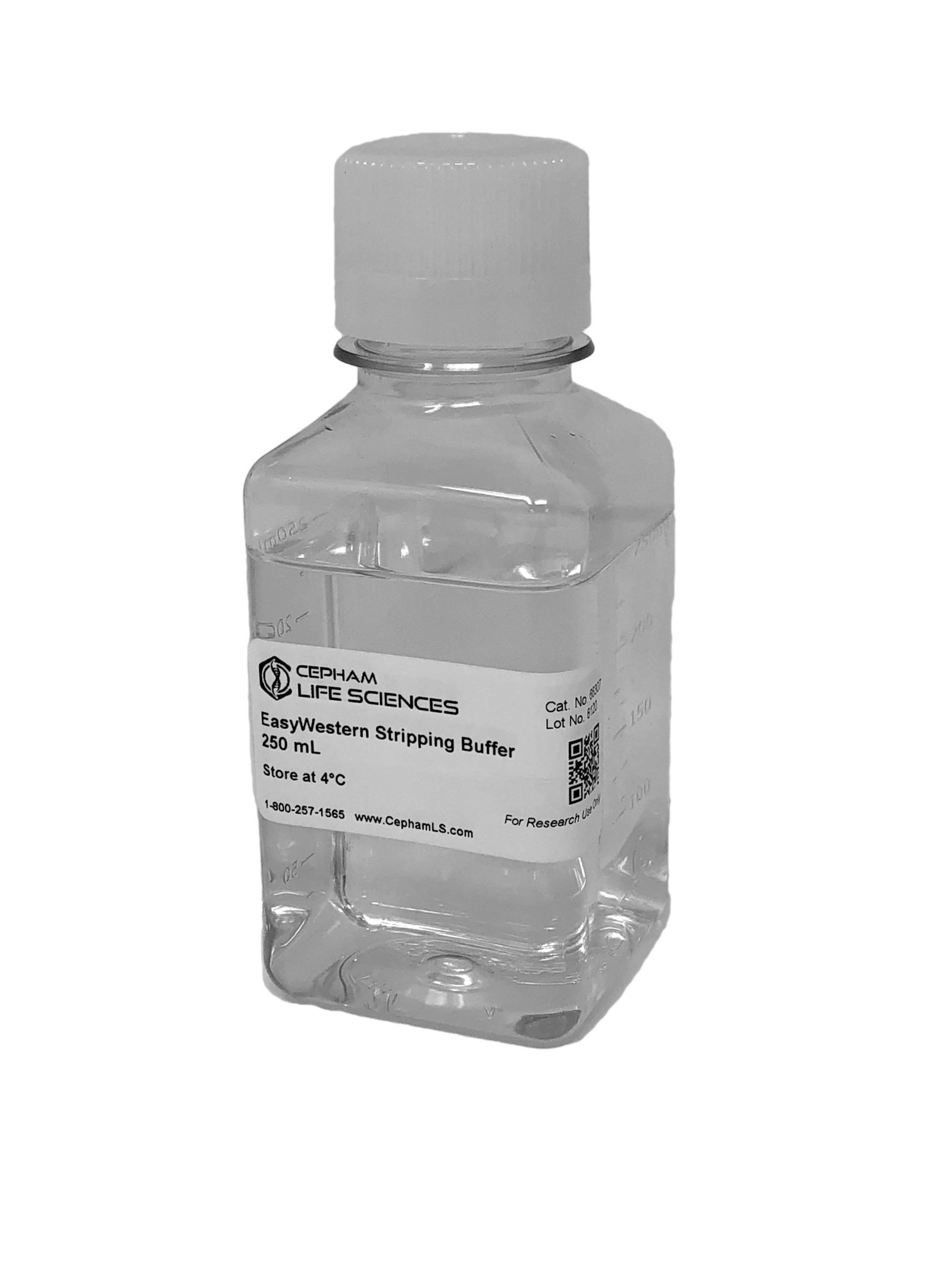 Western Stripping Buffer – Cepham Life Sciences